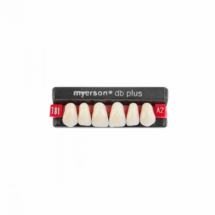 ⚠️ DB Plus Anterior Teeth – National Dental Supplies Ltd