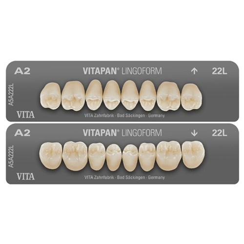 ⚠️ Vitapan Lingoform Posterior Teeth – National Dental Supplies Ltd